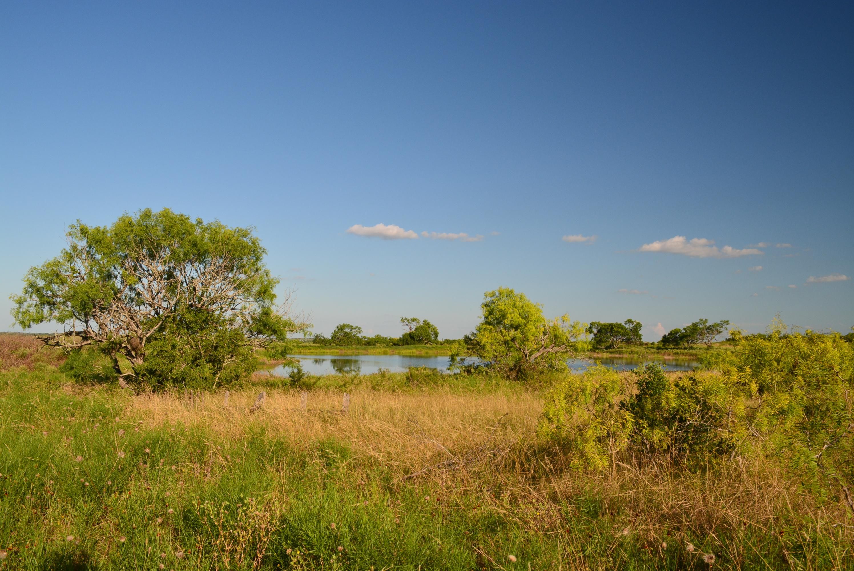 277 63 Acres In Karnes County Texas