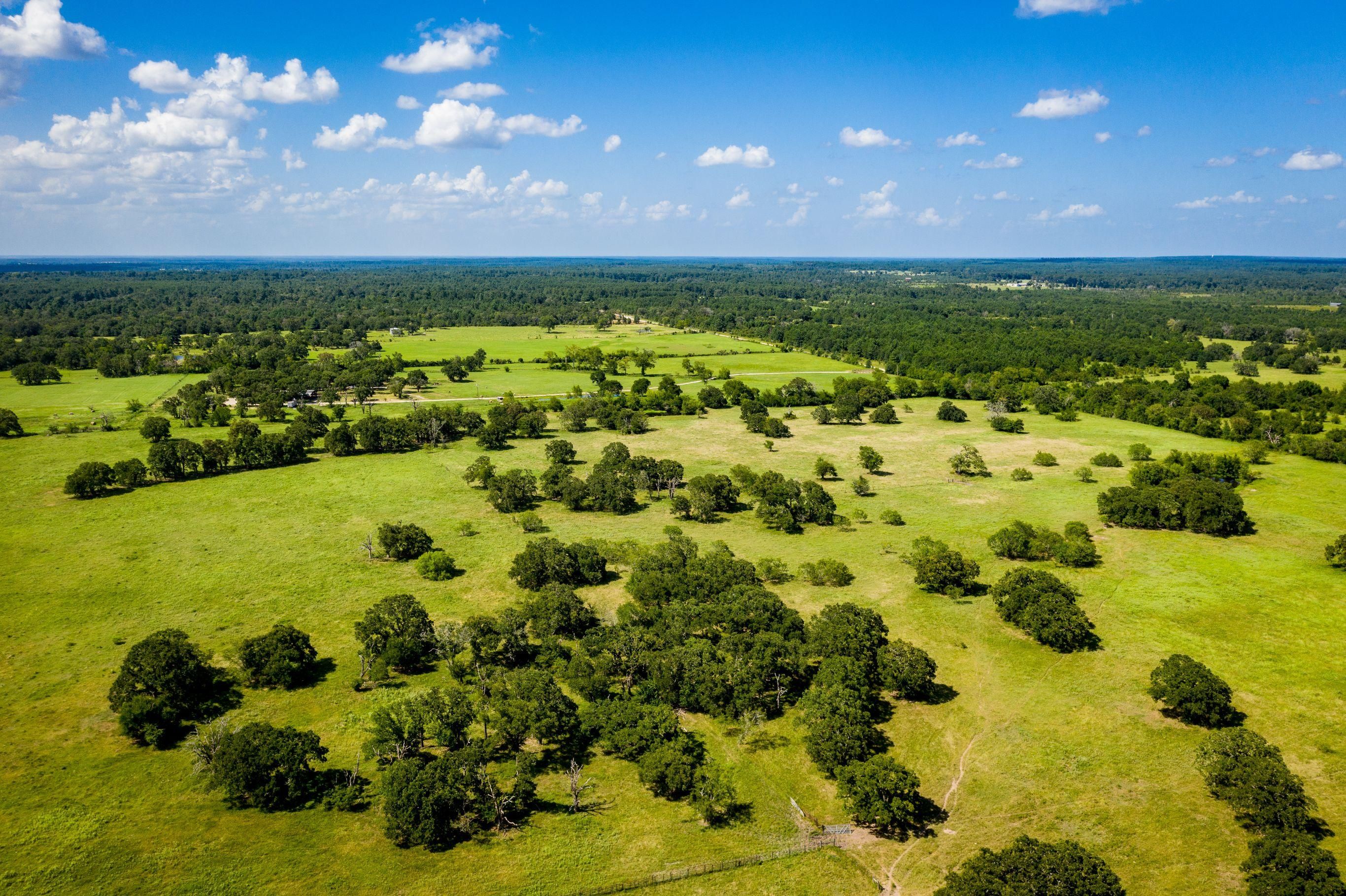 179.45 acres in Grimes County, Texas