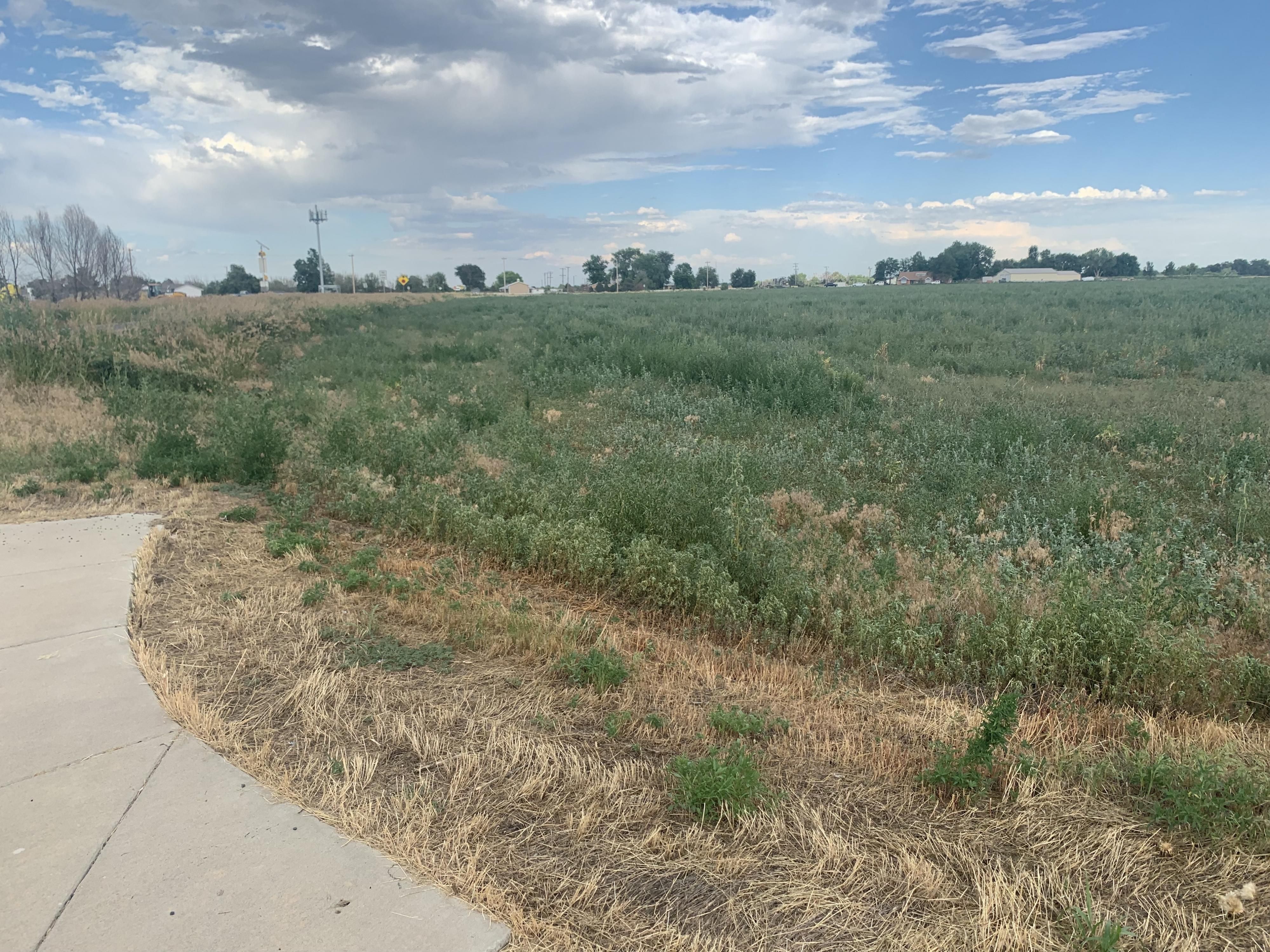 38.77 acres in Weld County, Colorado