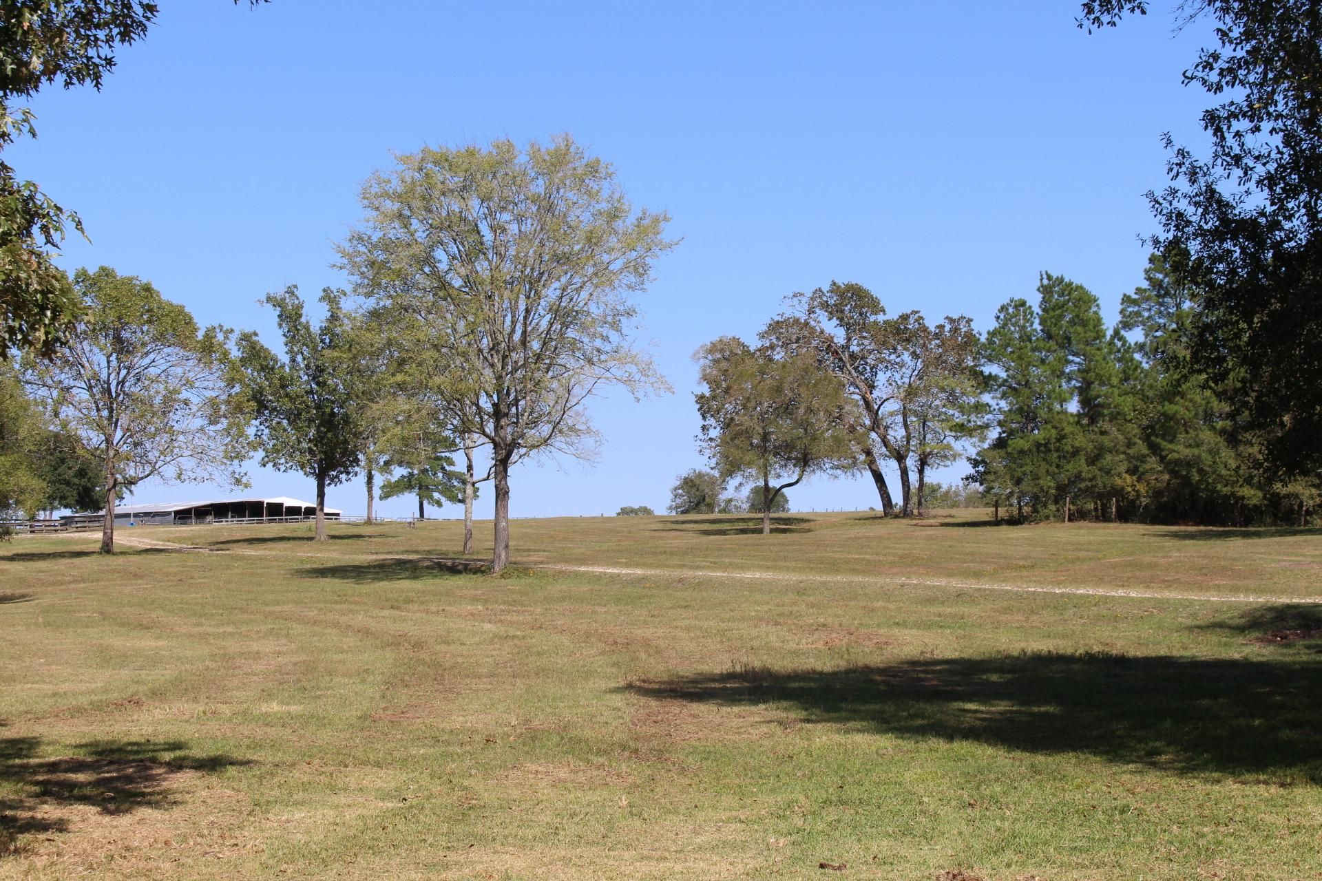 42 acres in Montgomery County, Texas