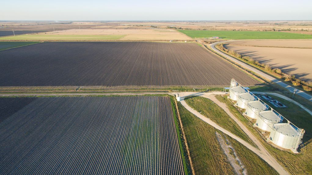 Highly Productive Commercial Rice Farm